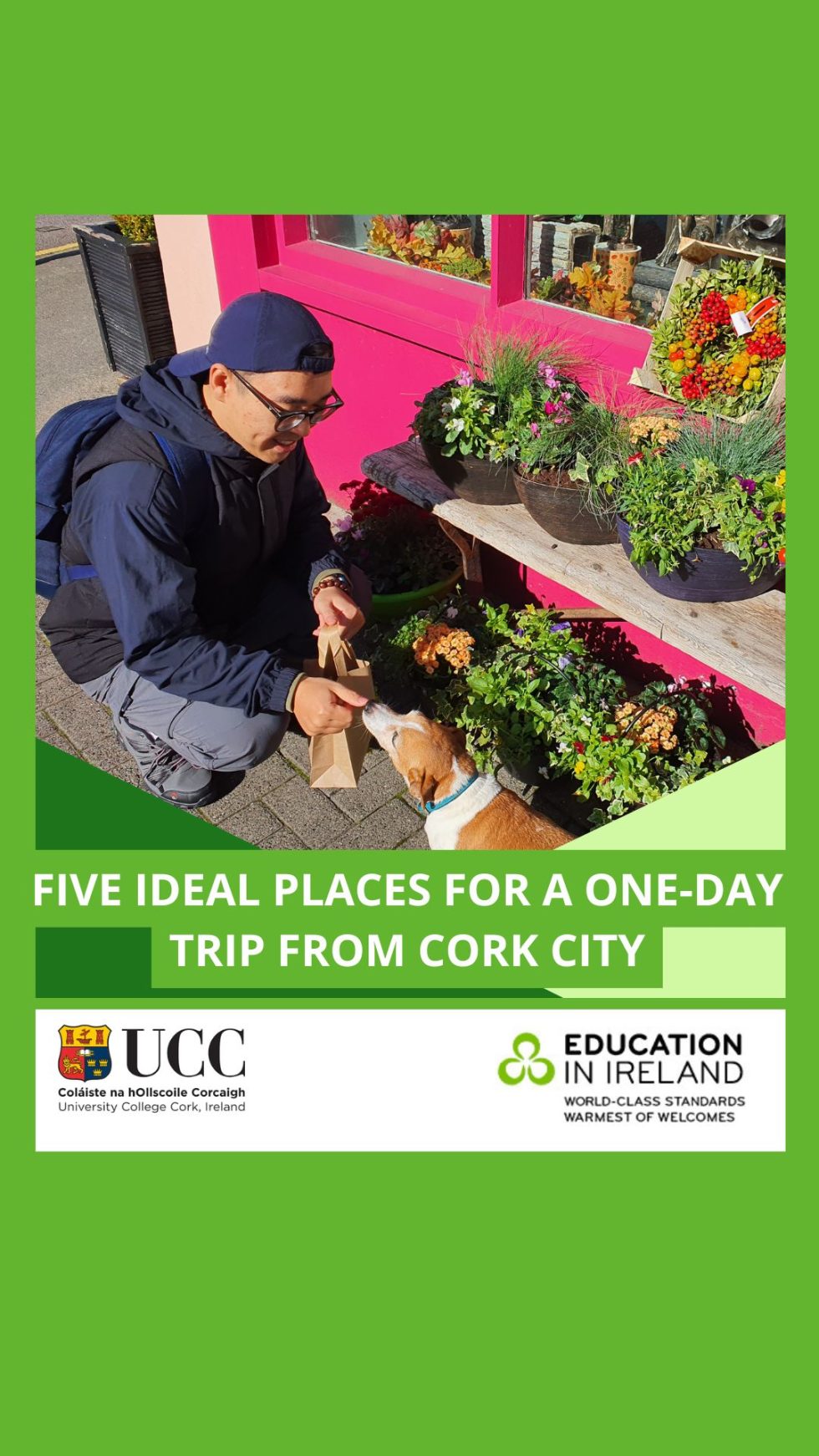 FIVE IDEAL PLACES FOR A ONE-DAY TRIP FROM CORK CITY | Study in Ireland ...
